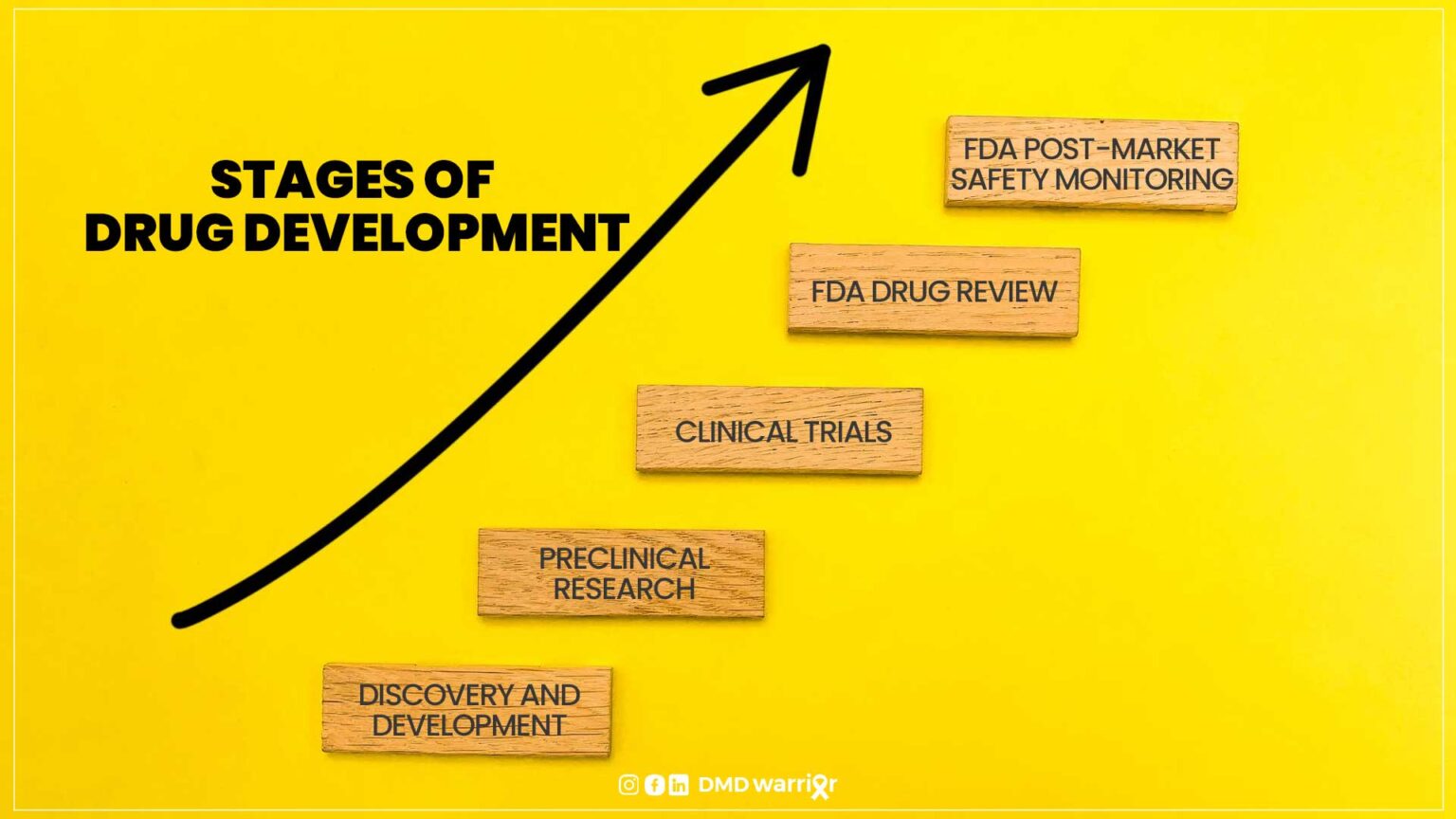 The 5 Drug Development Phases - Phase 1, Phase 2, Phase 3 Clinical ...