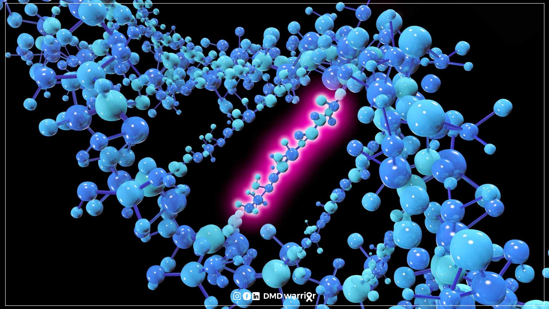 Fn14 Protein May Protect Muscle Stem Cells, Offering Promise for ...